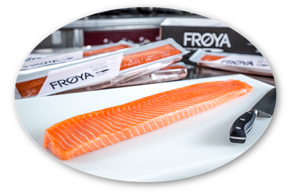 FRØYA I TRADO ALIMENTS I SALMÓN NORUEGO